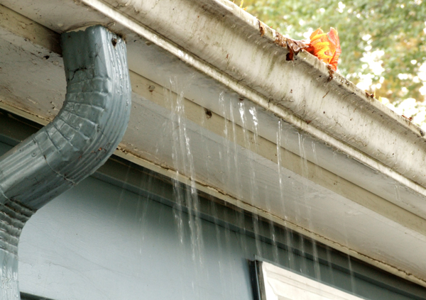 Gutters | Top Dog Home Pro