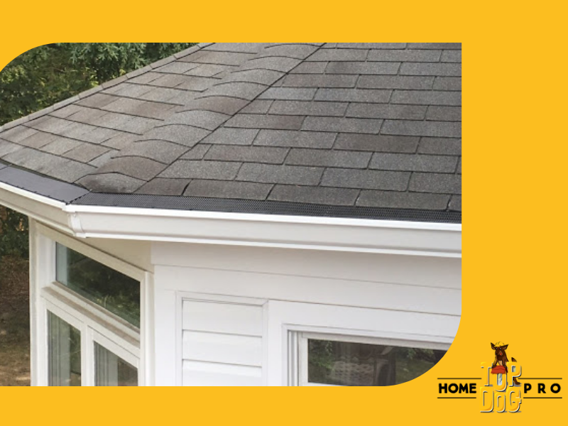 Rain Gutters 101 - Everything You Should Know in 2024! - Top Dog Home Pro